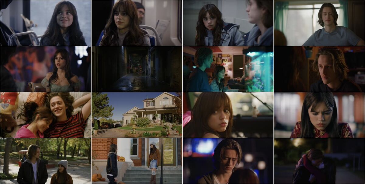 Winter Spring Summer or Fall 2023 PL 720p WEB-DL AC3-OzW