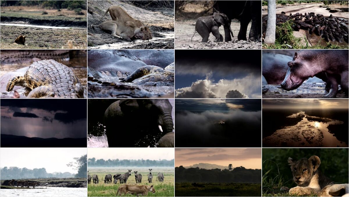 Nature S43E12 Katavi Africa's Fallen Paradise Salvation 720p AMZ