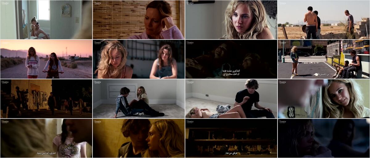 Little Birds 2011