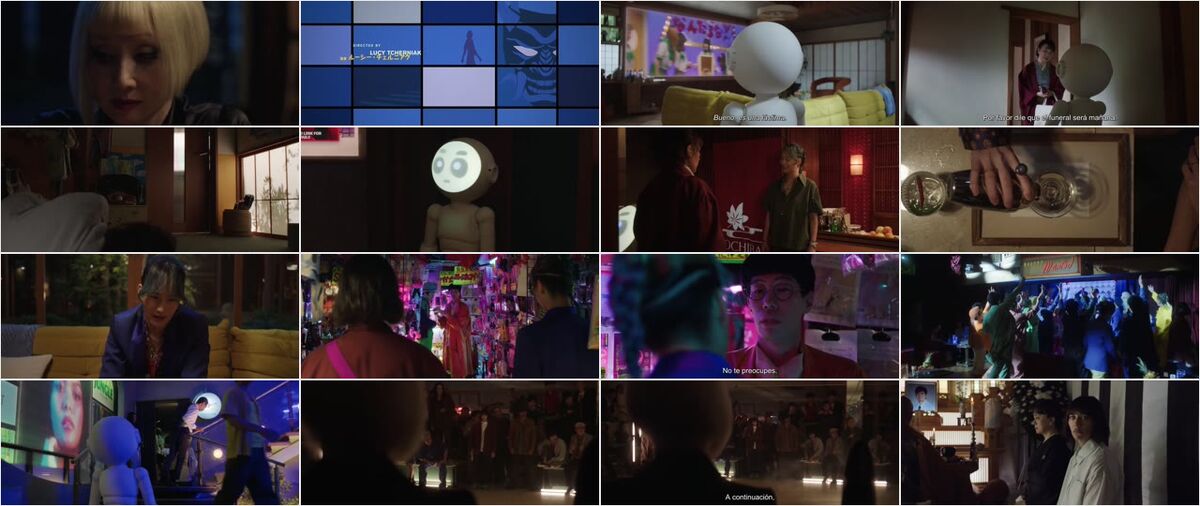 Sunnylat-03