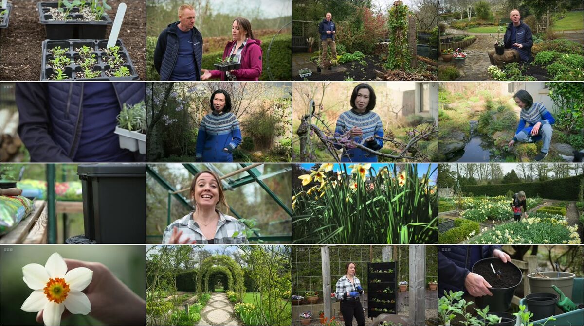 Beechgrove Garden S47E04 WEB-DL H264-7VFr33104D
