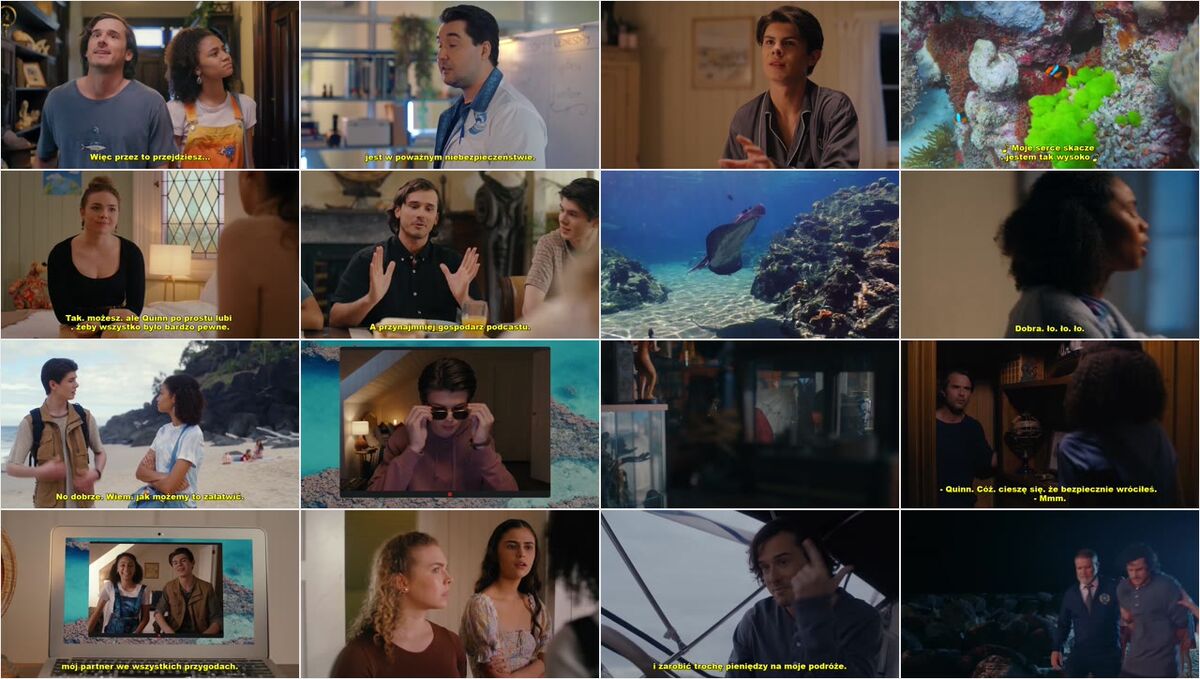 The Curious Case of Dolphin Bay (2022)