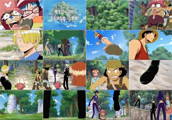 One Piece - 223 - Zoro sotto l'effetto dell'ipnosi