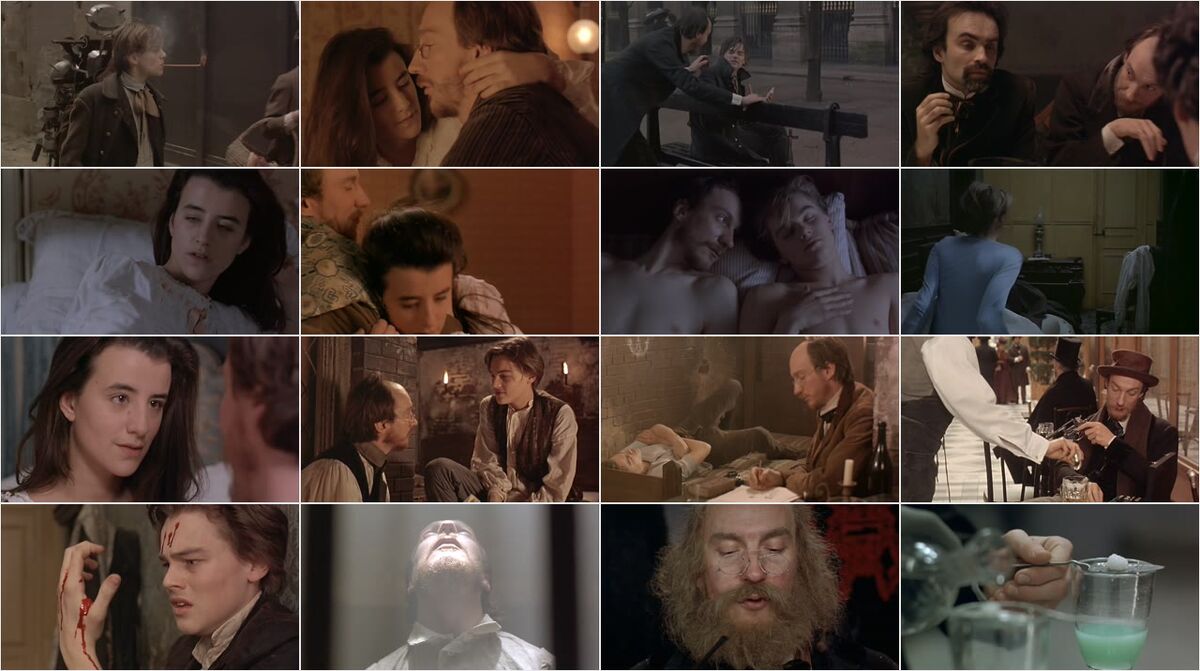 Rimbaud Verlaine 1995 FRENCH DVDRip x264