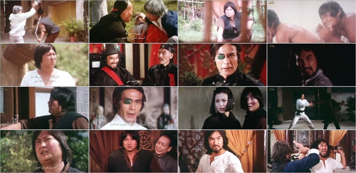 The Victim 1980 1080p MovizHome