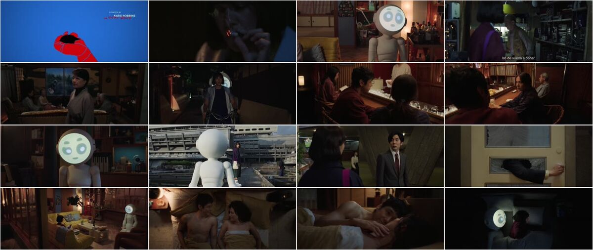 Sunnylat-02
