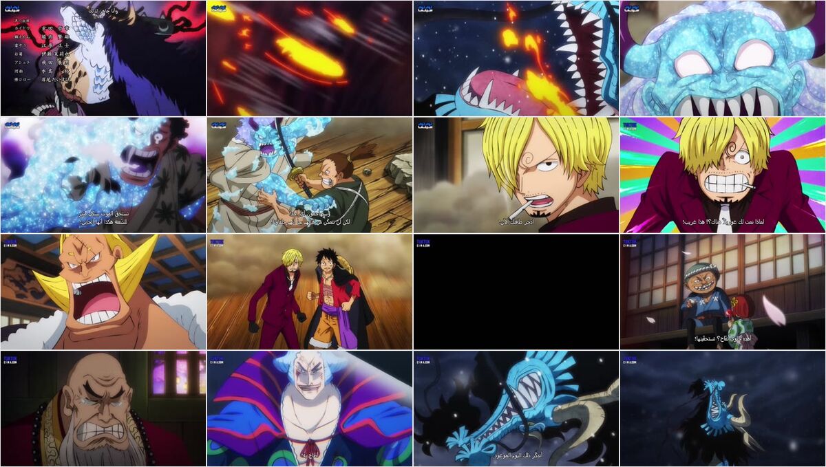 One Piece S21E1005