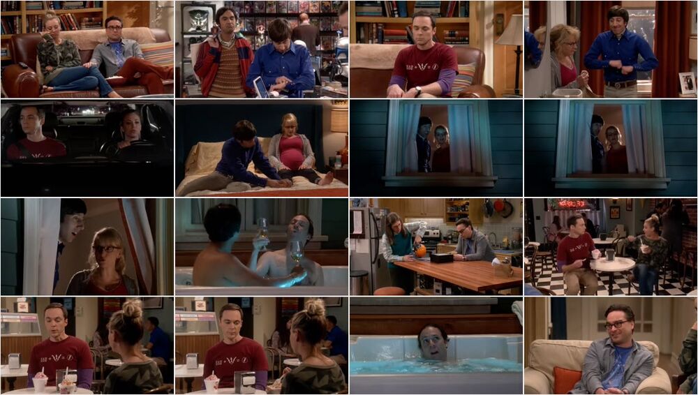 The Big Bang Theory S10E05 The Hot Tub Contamination