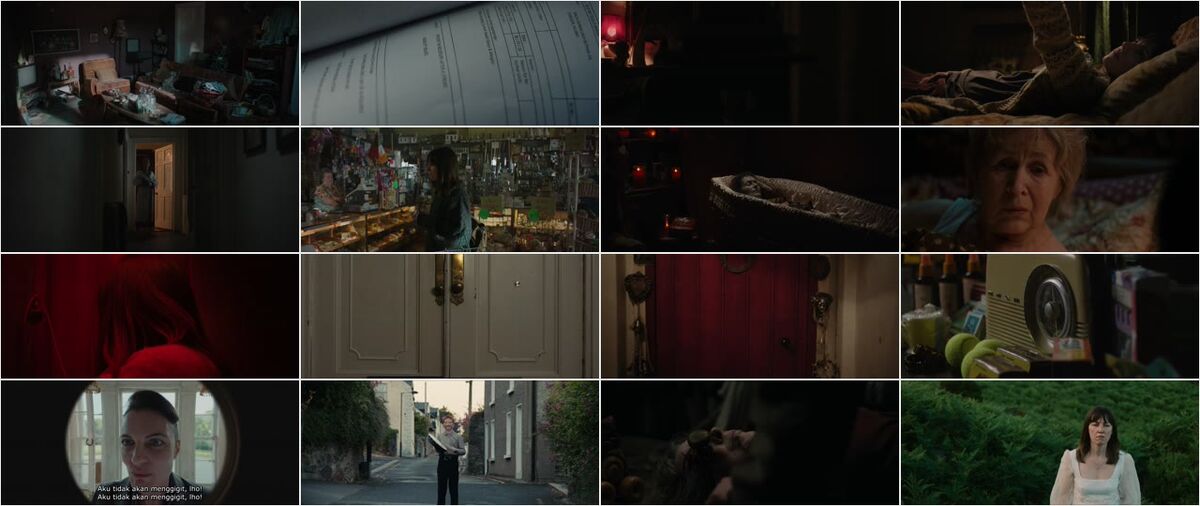 D21 FUN-Frewaka (2025)-1080p