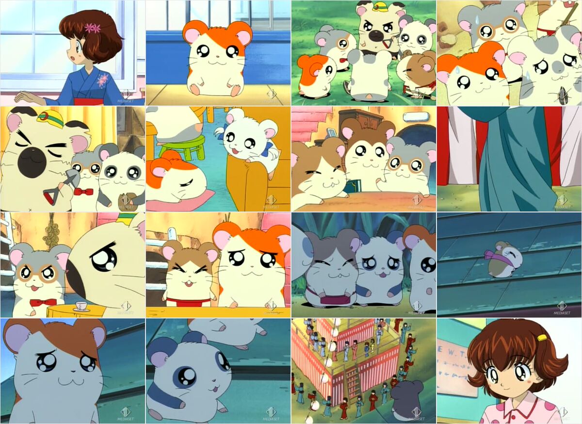 Hamtaro - 007 - Avventure alla fiera d-estate
