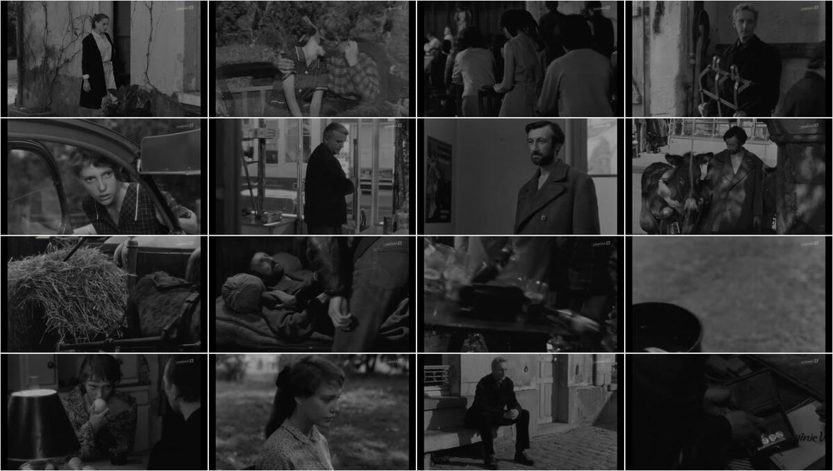 Au  Hasard  BalthazarNa  Los  Szczęścia  Baltazarze  1966  Lek