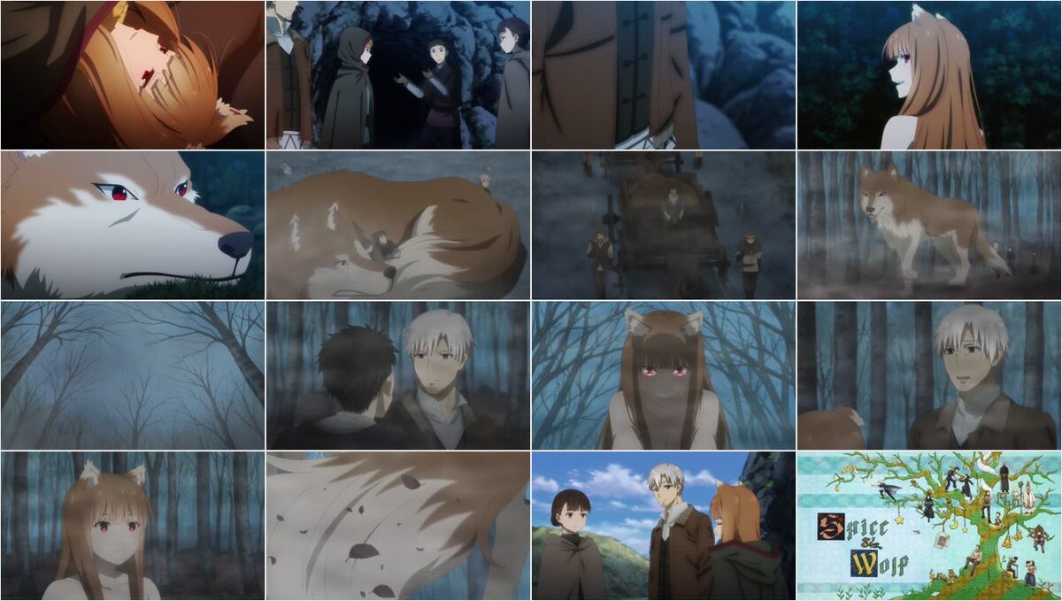 WolfS1-24
