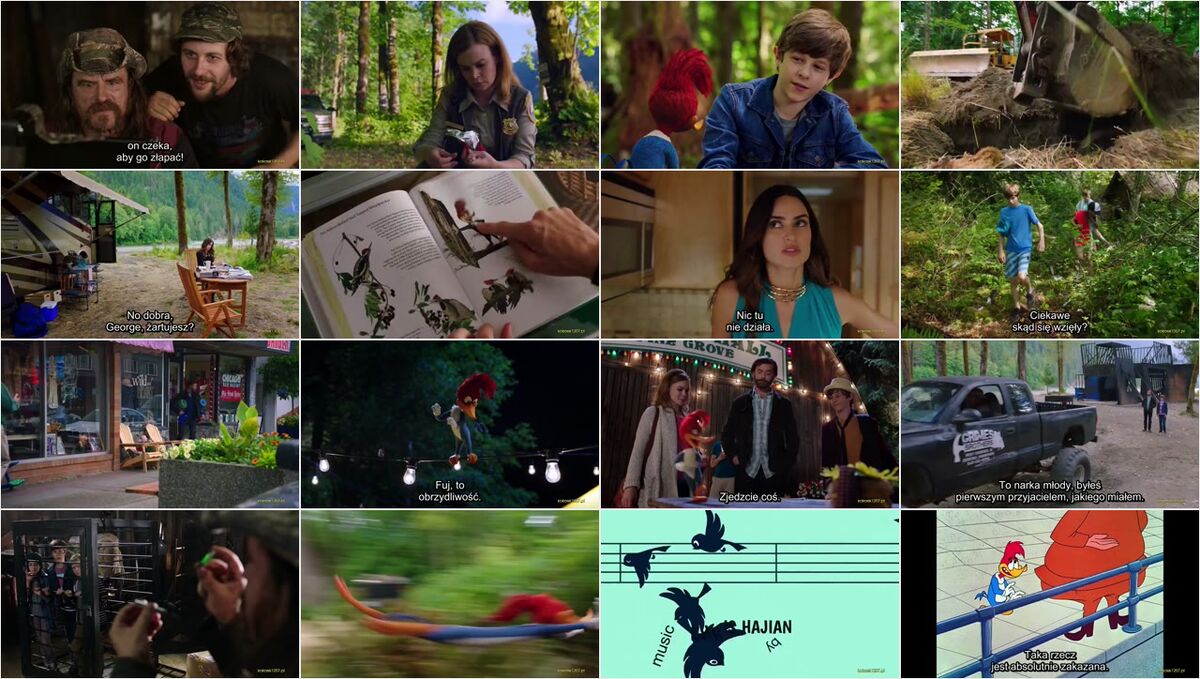 Woody Woodpecker (2017) SUBPL 720