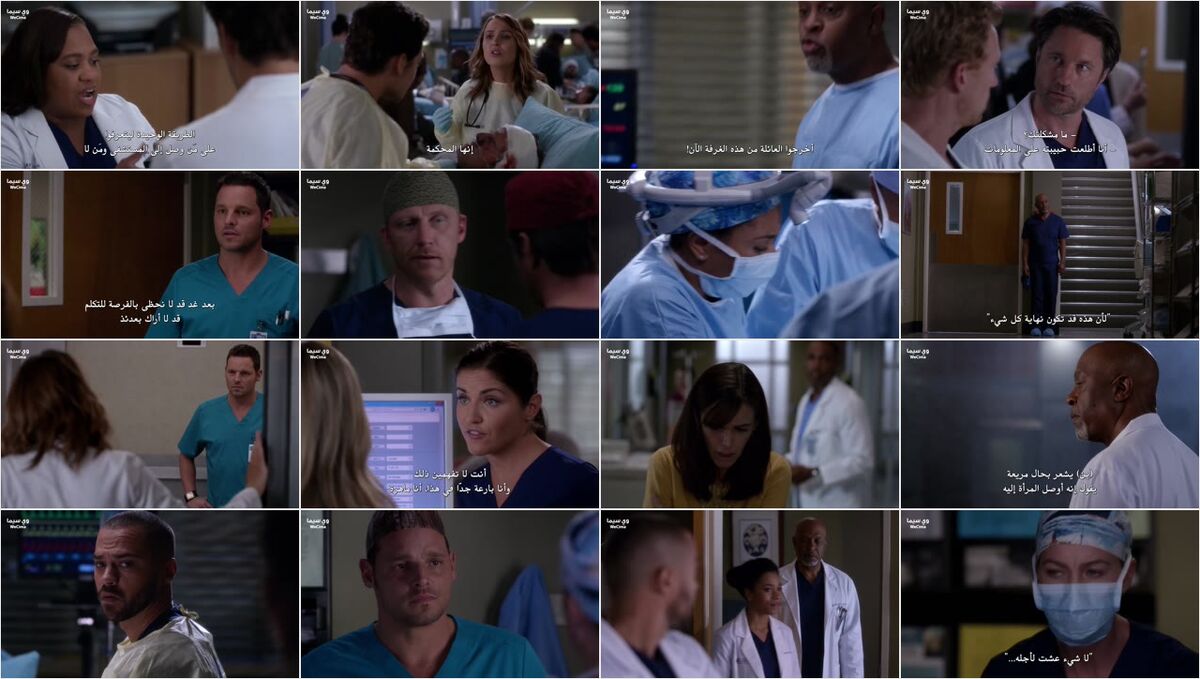 Greys Anatomy S13E09 CiNEMATY [source]