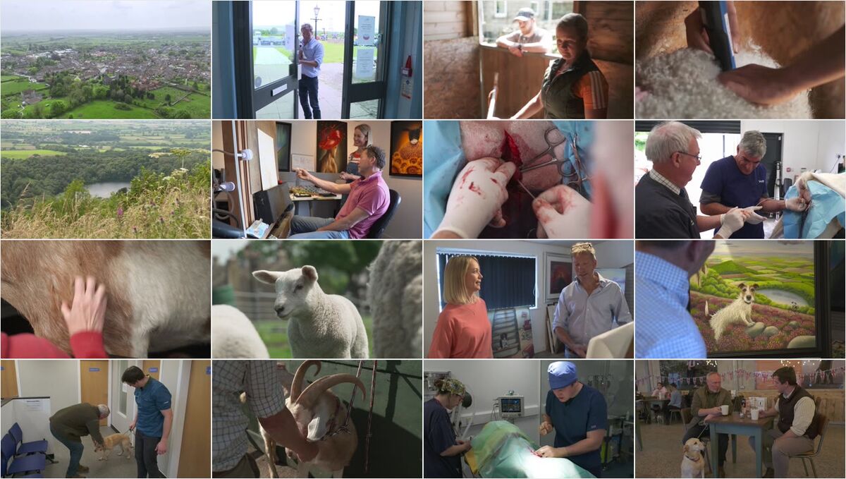 The Yorkshire Vet S20E06 (May 8 2025) [720p mp4 subs]
