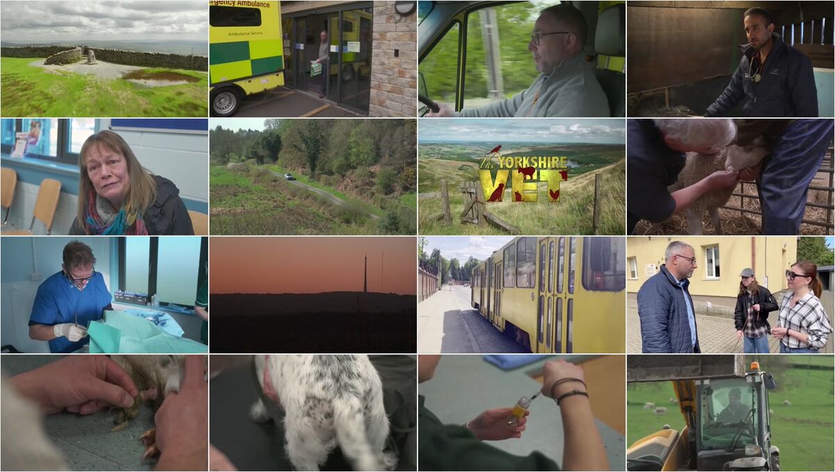 The Yorkshire Vet S20E04 (April 24 2025) [540p mp4 subs]