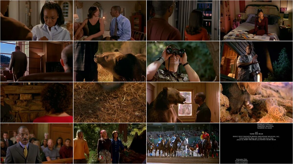 Dr Dolittle 2 - Dr  Dolittle 2 (2001)