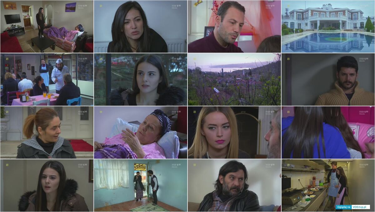 Elif- odc  288 - serial telewizyjny, Oglądaj na TVP VOD