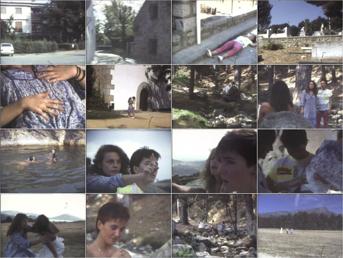 Si tocas la flauta por que no el violin 1990 Dvdrip