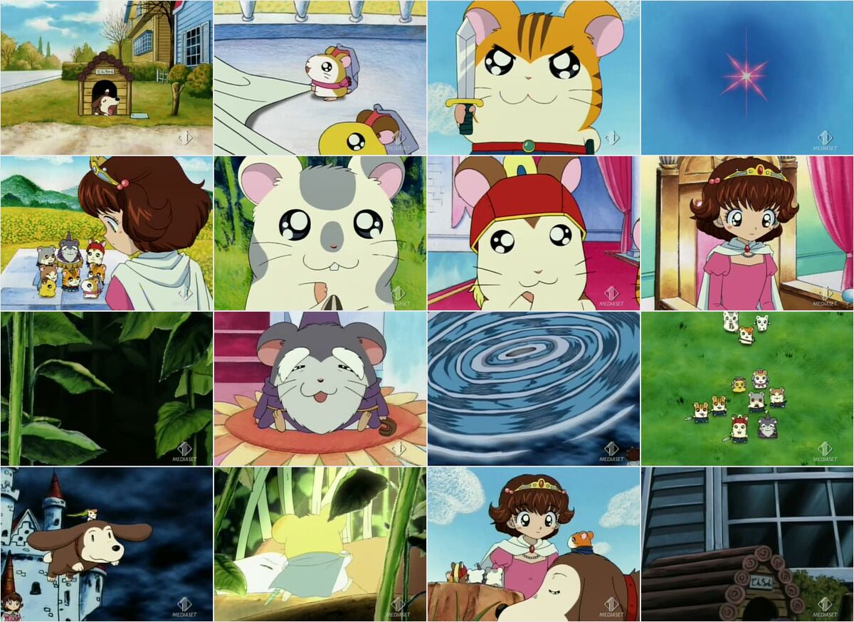 Hamtaro - 026 - La leggenda del coraggioso Hamtaro
