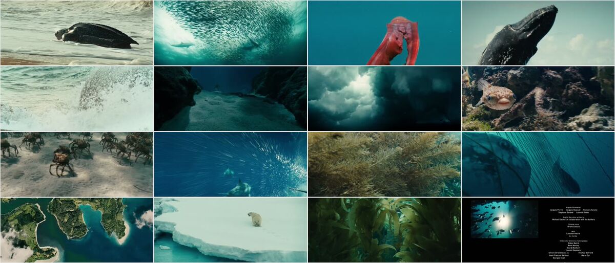 Disneynature Oceans (2009) Multi 720P Web