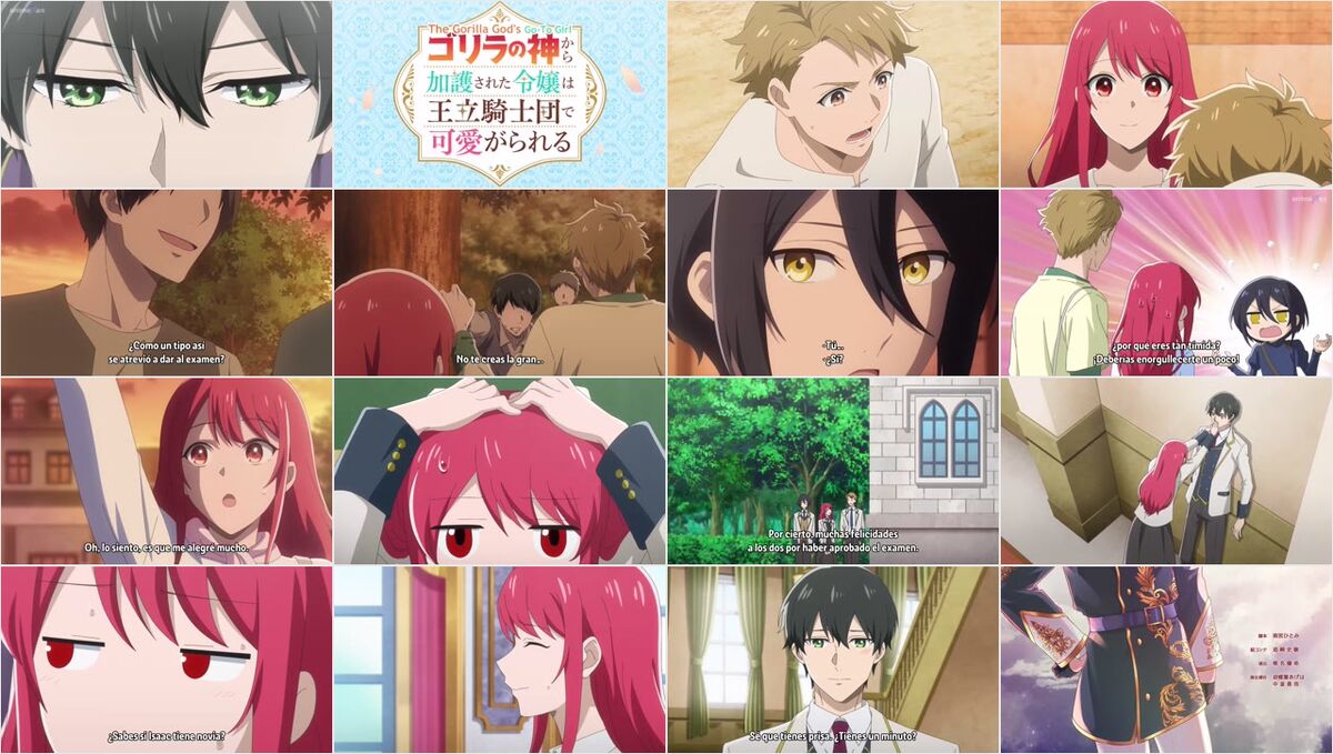 ST02 1067 13020 2 gorilla-no-kami-kara-kago-sareta-reijou-wa-our