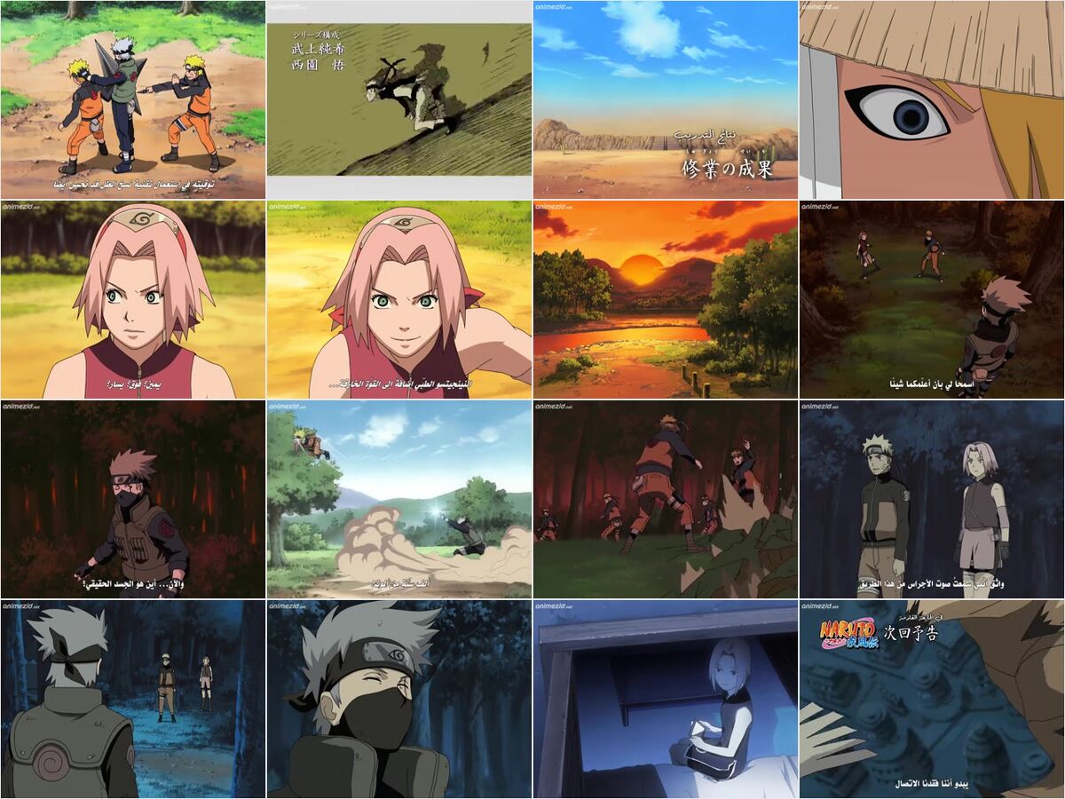  Naruto Shippuden - 003  [480p]