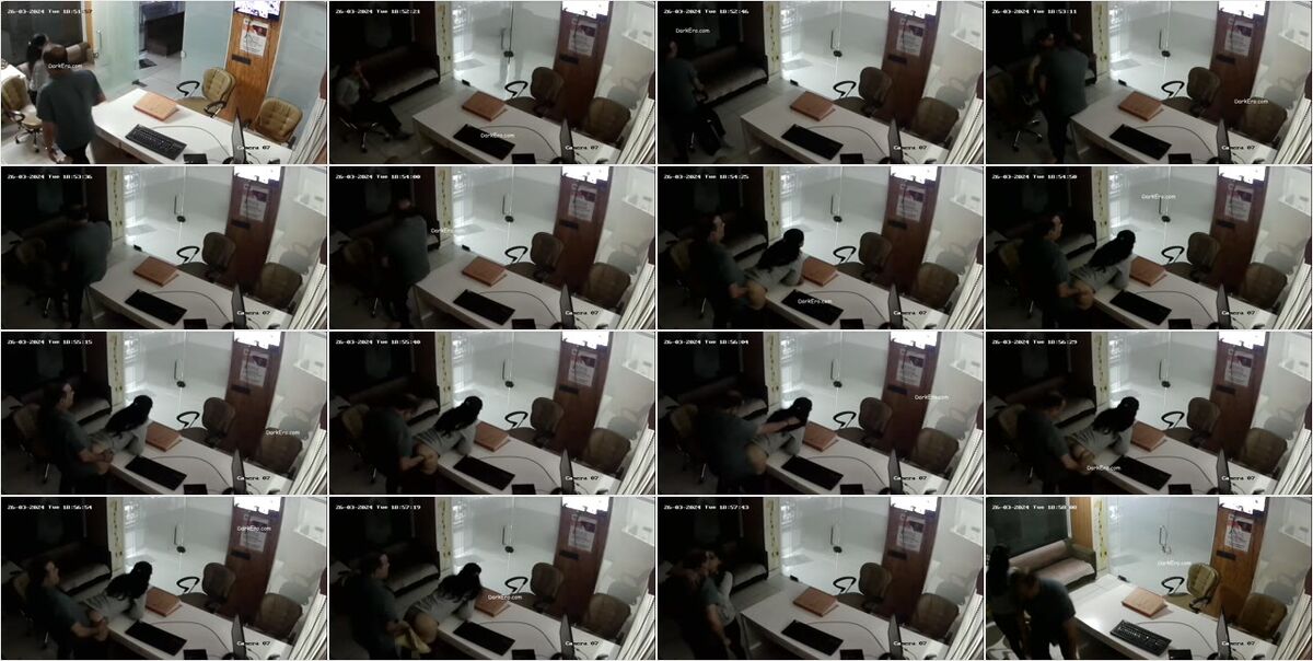 Employee-and-Boss-Office-Quickie
