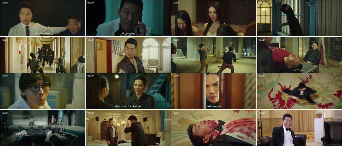 Bodyguard 40 2025 41 new CiNEMATY [source]