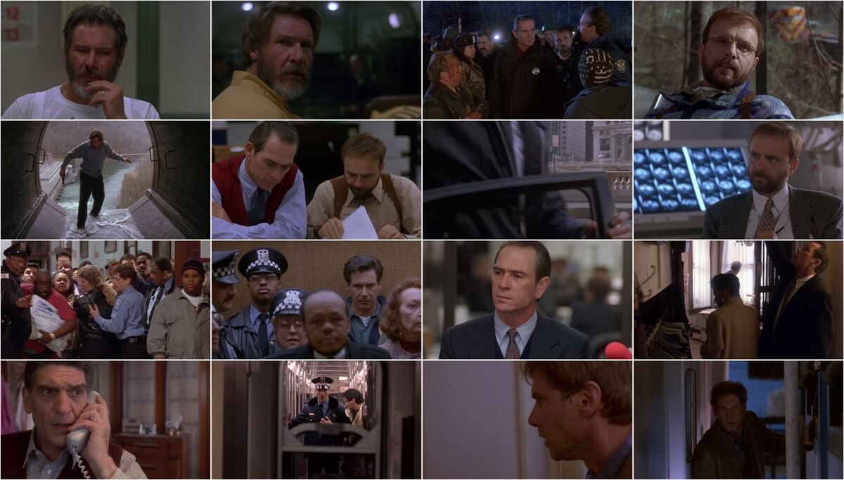 The Fugitive 1993 MULTi VF2 1080p HDLight AC3 5 1 H264-LiHDL