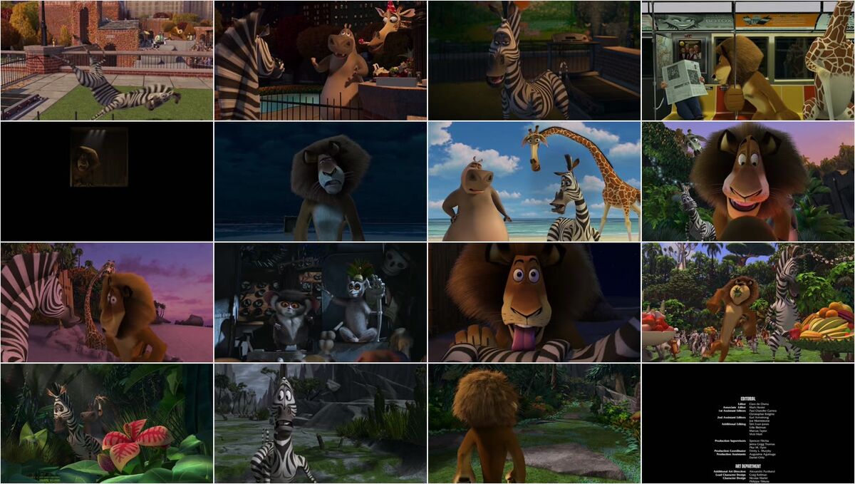 Madagascar 2005 720p BluRay Hindi English DD 2 0 ESubs (1)