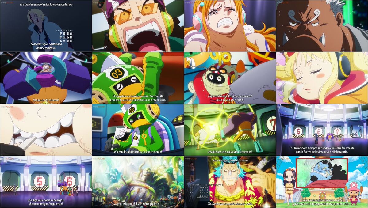 One Piece S22E1095