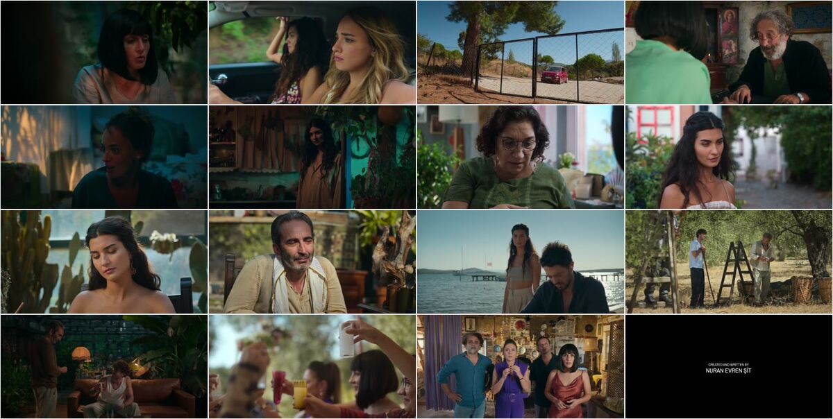 Le Chemin de l'olivier - Saison 2 Épisode 8