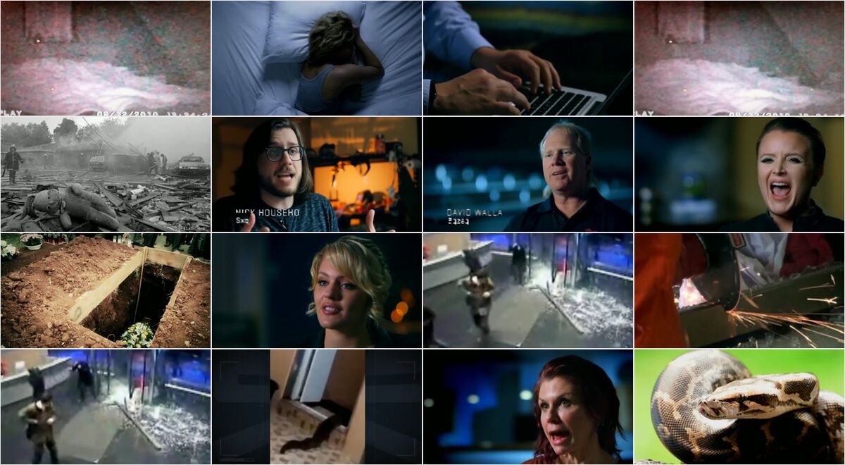 s5e19 creature cauchemardesque