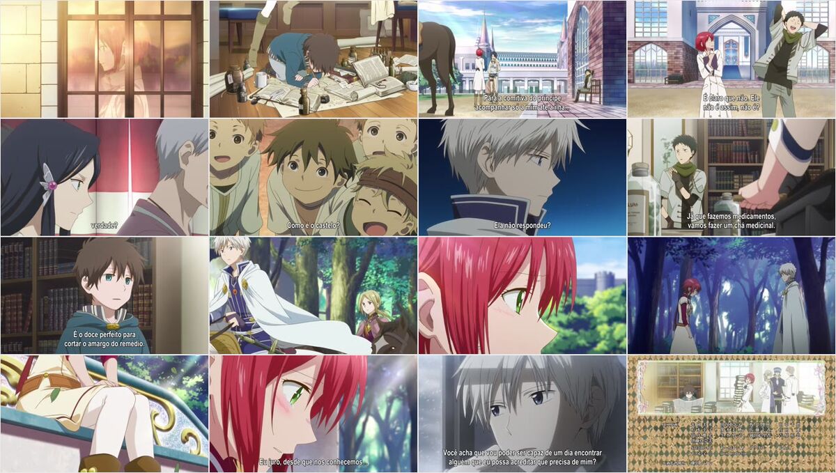 Akagami no Shirayuki-hime 11