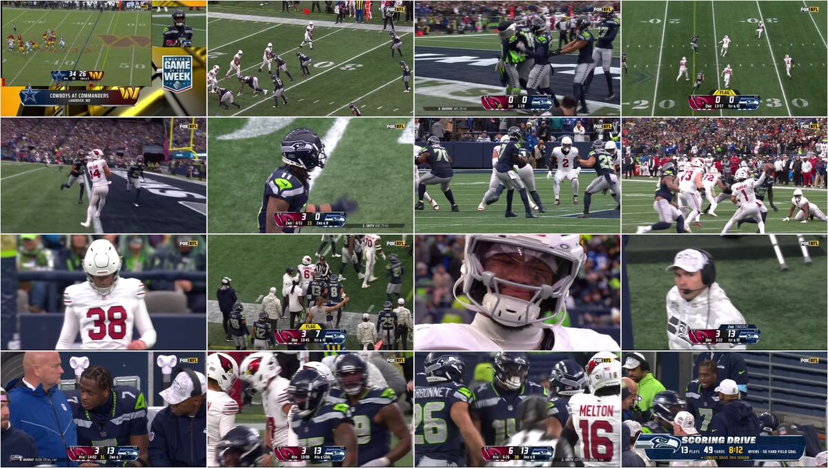 Arizona Cardinals at Seattle Seahawks 24 11 2024 low