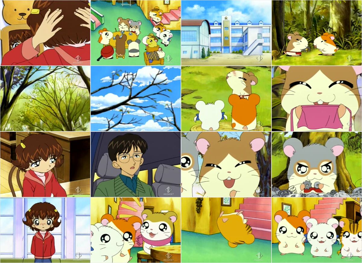 Hamtaro - 022 - Un regalo per Sciarpina