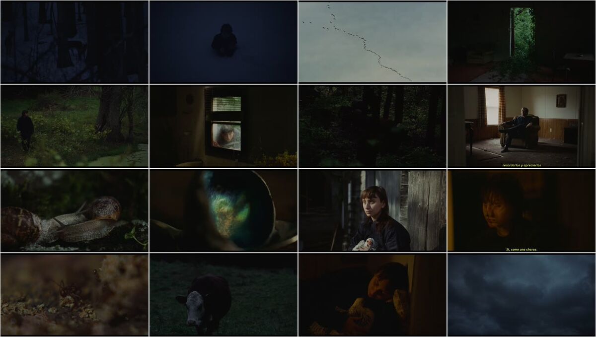 The human hibernation (2024) 1080 VOSE