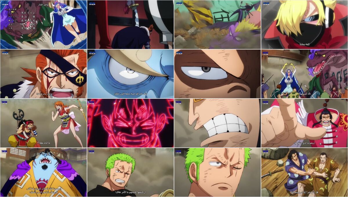One Piece S21E1002