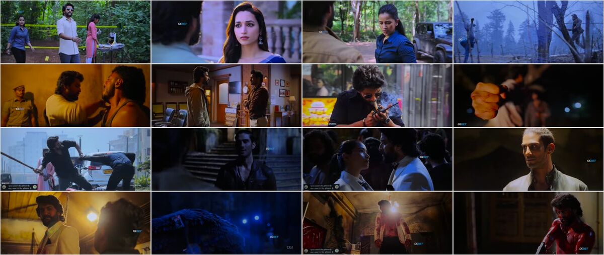 HIT The Third Case (2025) Hindi PRE-HD - 720P