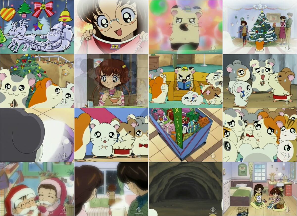 Hamtaro - 025 - Buon Natale