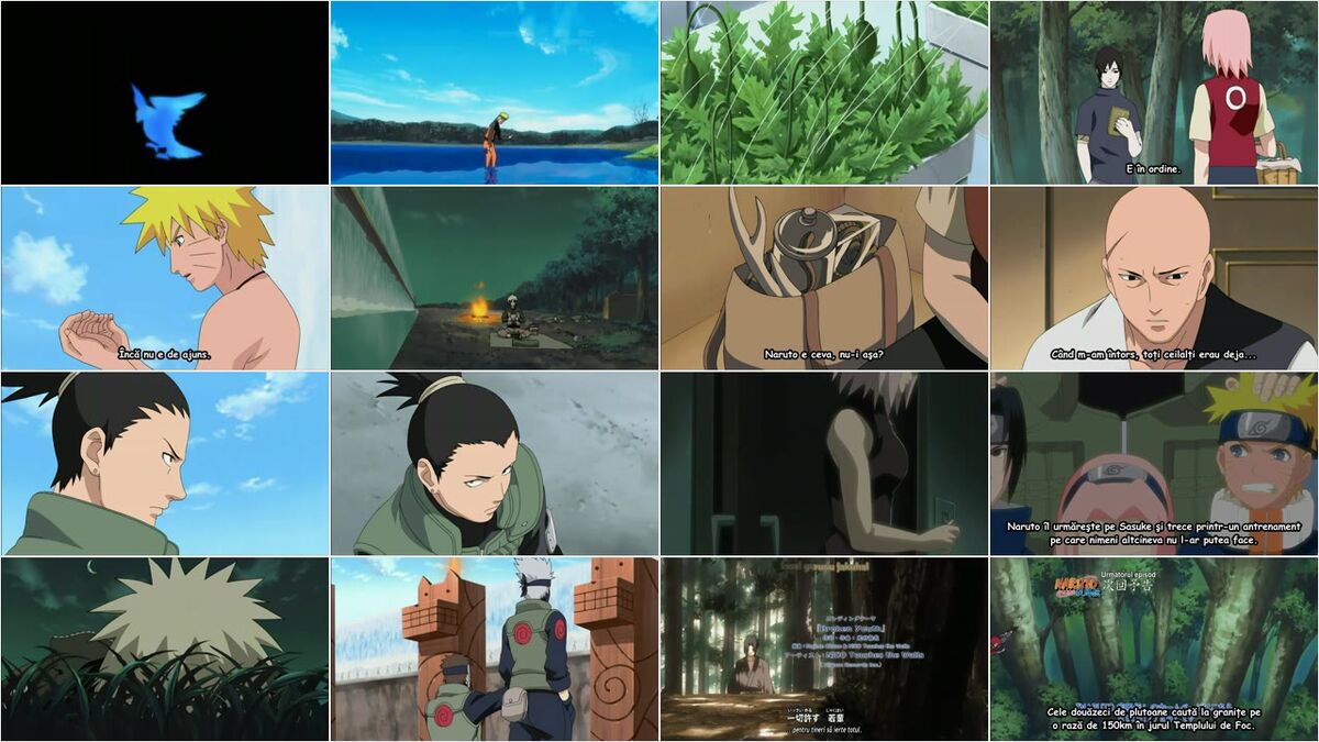 [Shinobi] Naruto Shippuden - 074 [480p][91394191]