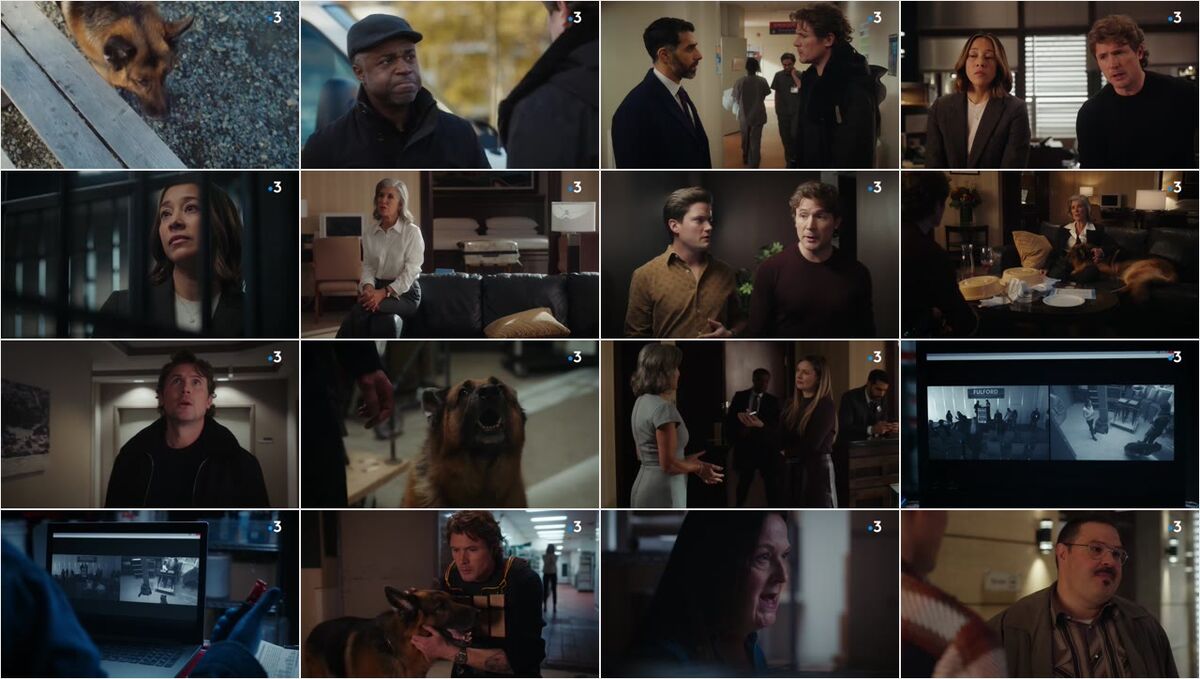Série Hudson And Rex saison 6 épisode 15 VF