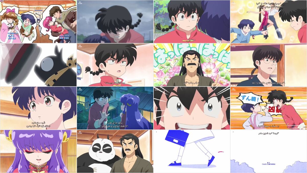 [ZIMABADK] Ranma ½-EP12 [480p]