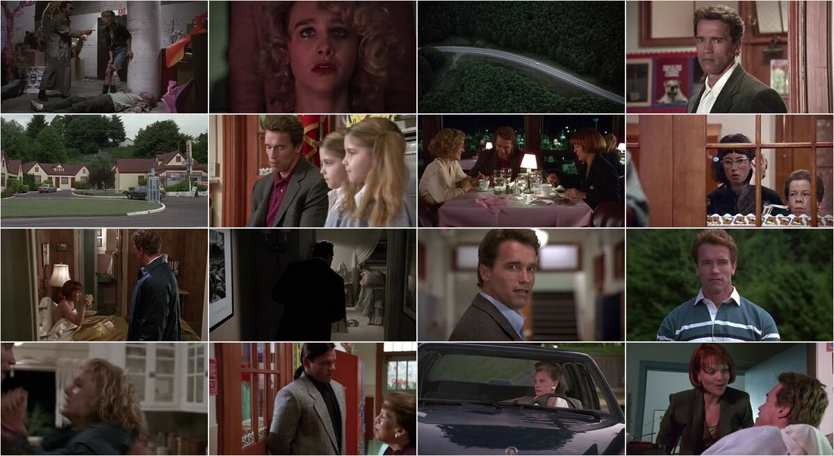 0479-Un Detective En El Kinder (1990) 720p D S spa eng v