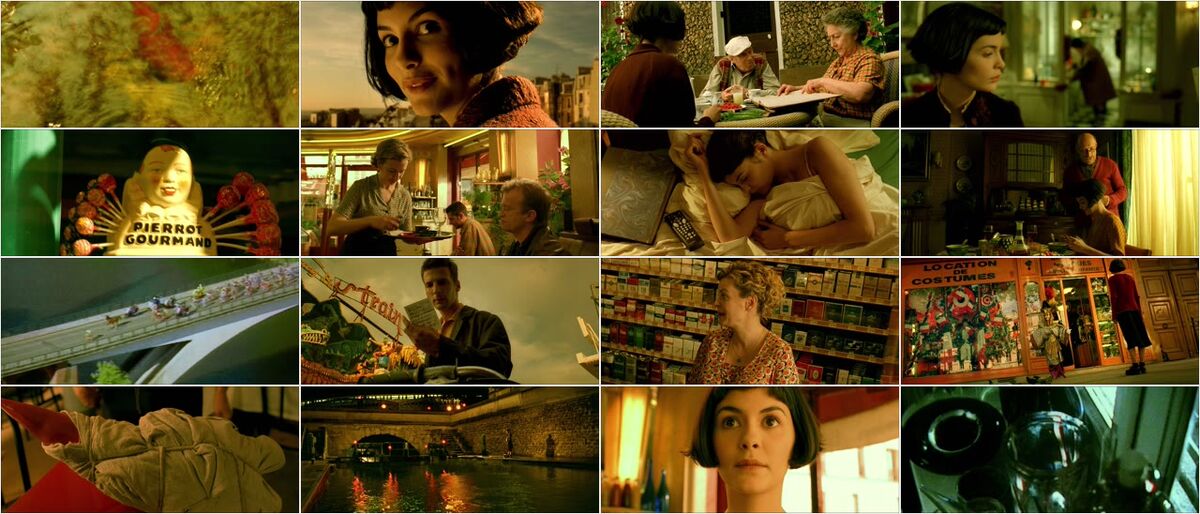 Le fabuleux destin d Amelie Poulain 2001 FRENCH HDLight PopHD Wa