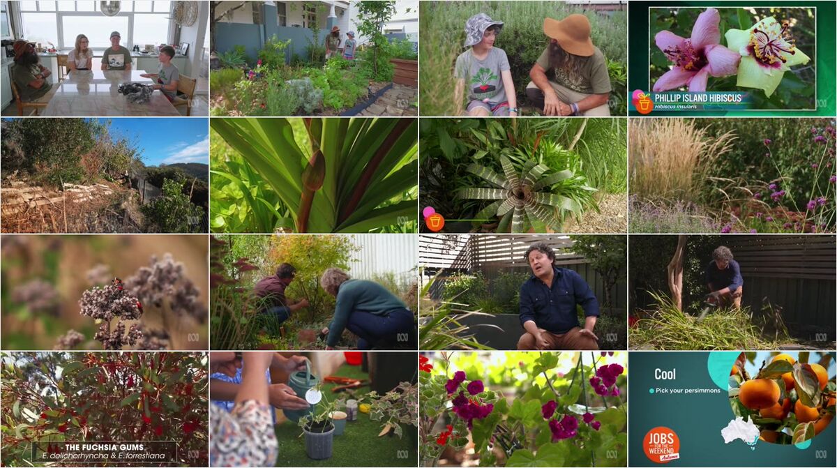 Gardening Australia S36E11 WEB-DL H264-7VFr33104D
