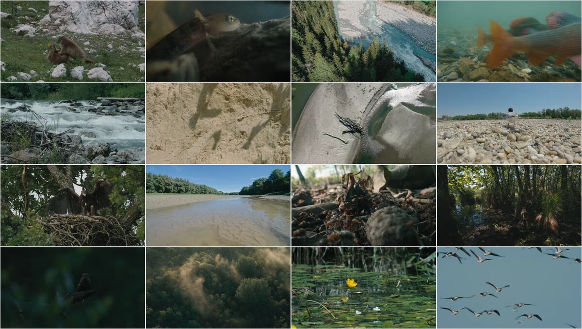 Europejska Amazonia- odc  1 – Mieszkańcy rezerwatu - serial t