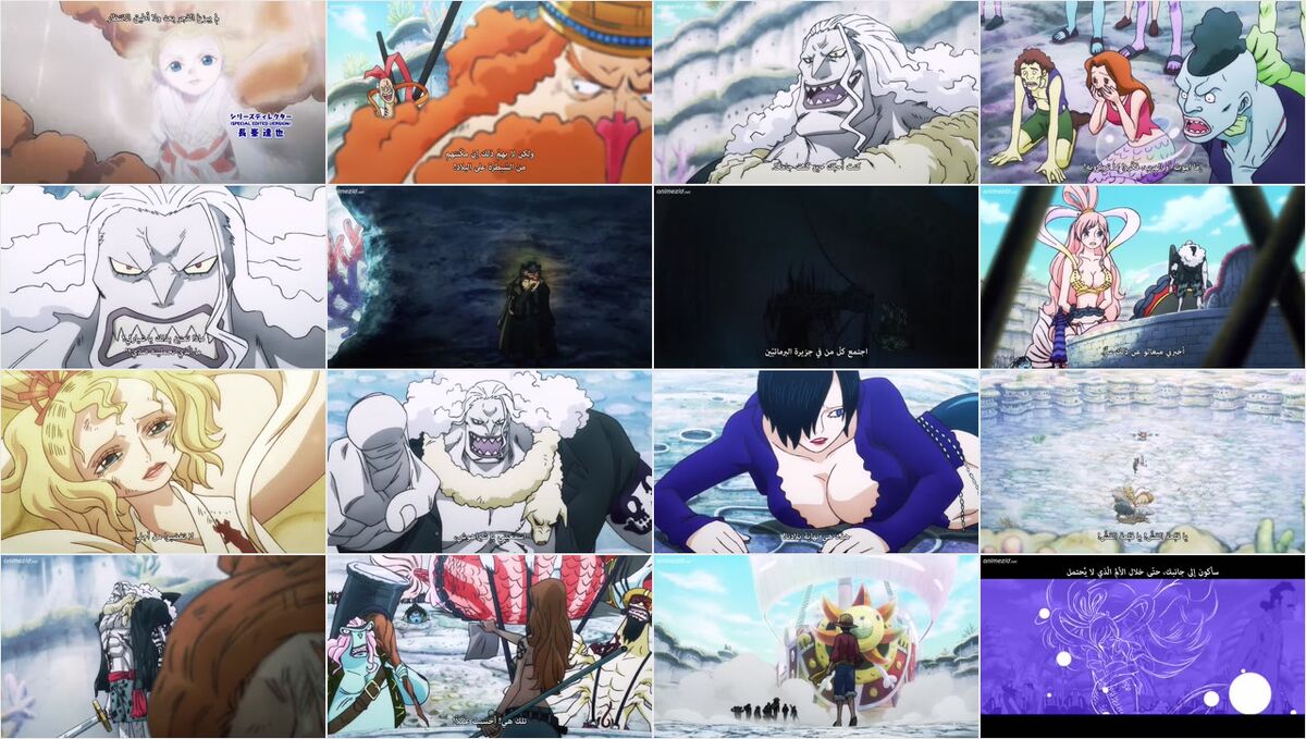  One Piece Log - Fish-Man Island Saga - 16 
