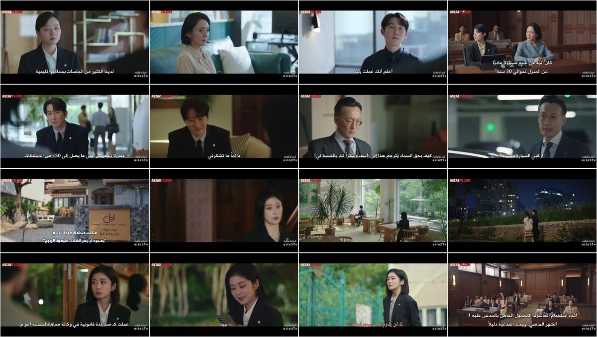 Good Partner 16 fin [480p]
